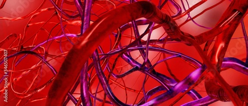 Blood vessels, veins and arteries, circulatory system, 3D rendering ...