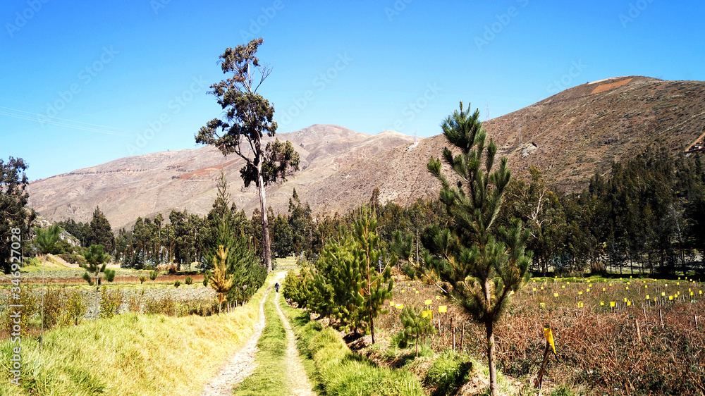 Paisaje de la sierra peruana. Tarma Stock Photo | Adobe Stock