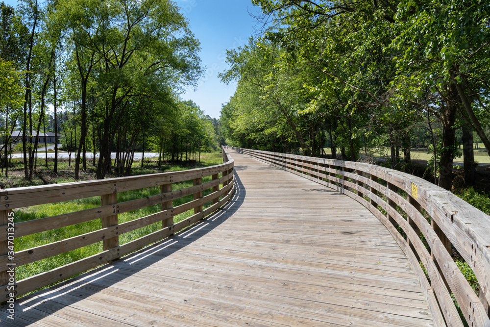 Distant runners on an elevated boardwalk through forest and wetlands ...