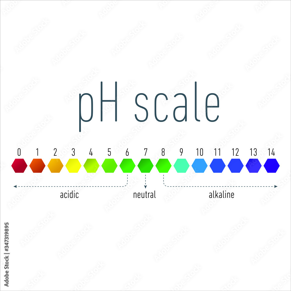 ph scale. infographic acid-base balance. scale for chemical analysis ...