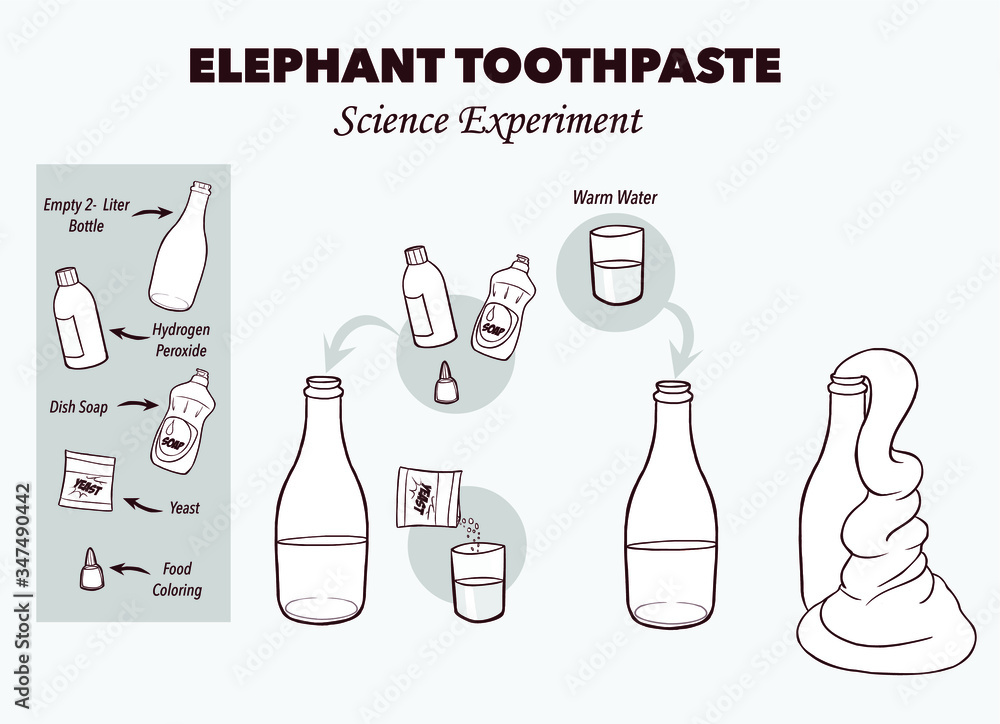 Vector illustration of Elephant's toothpaste experiment Stock Vector ...