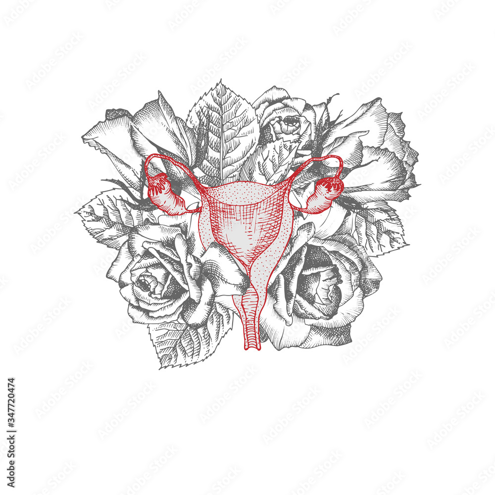 Uterus with bouquet roses Realistic hand-drawn icon of human internal ...