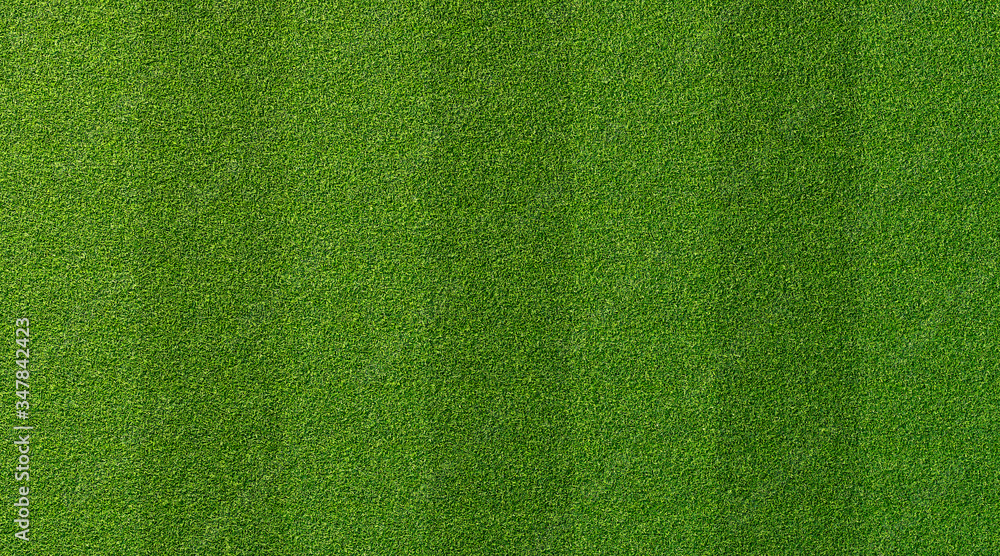 Green grass texture for sport background. Detailed pattern of green ...