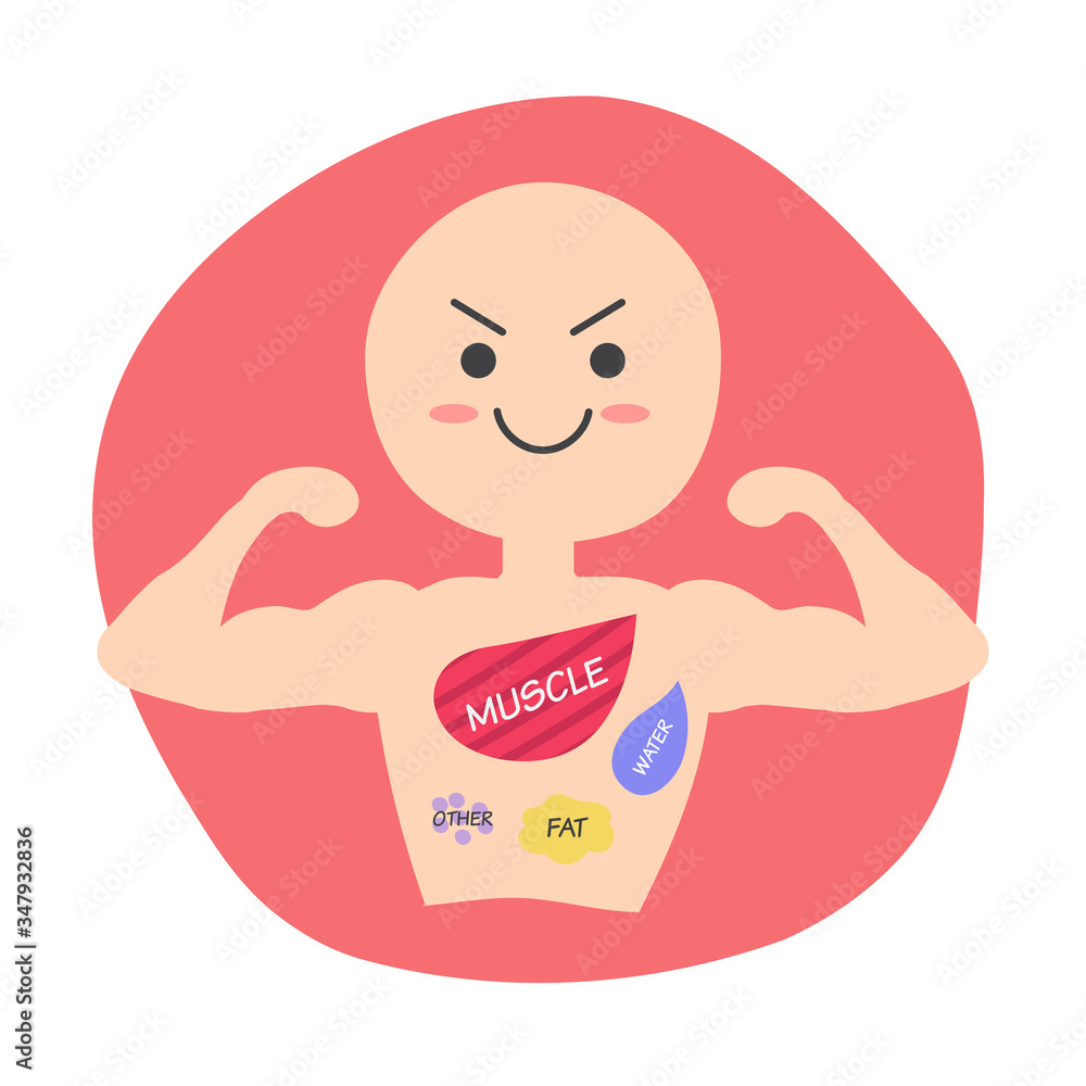 Cute cartoon of people with muscle, fat, water, and others in the body ...