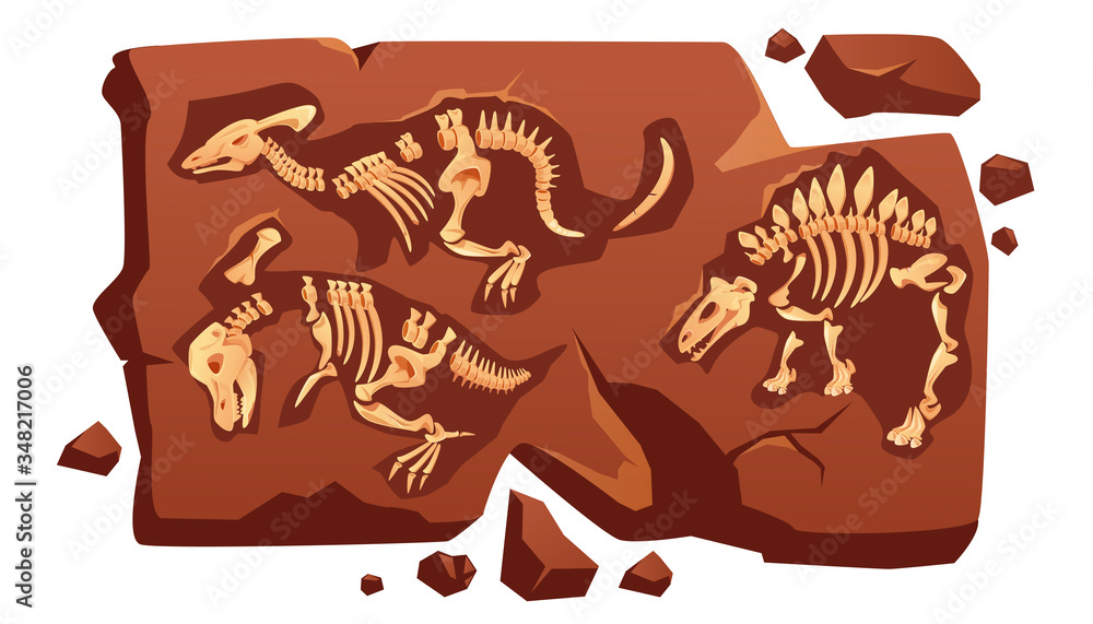 Dinosaur fossil bones, dino skeletons in piece of stone isolated on ...