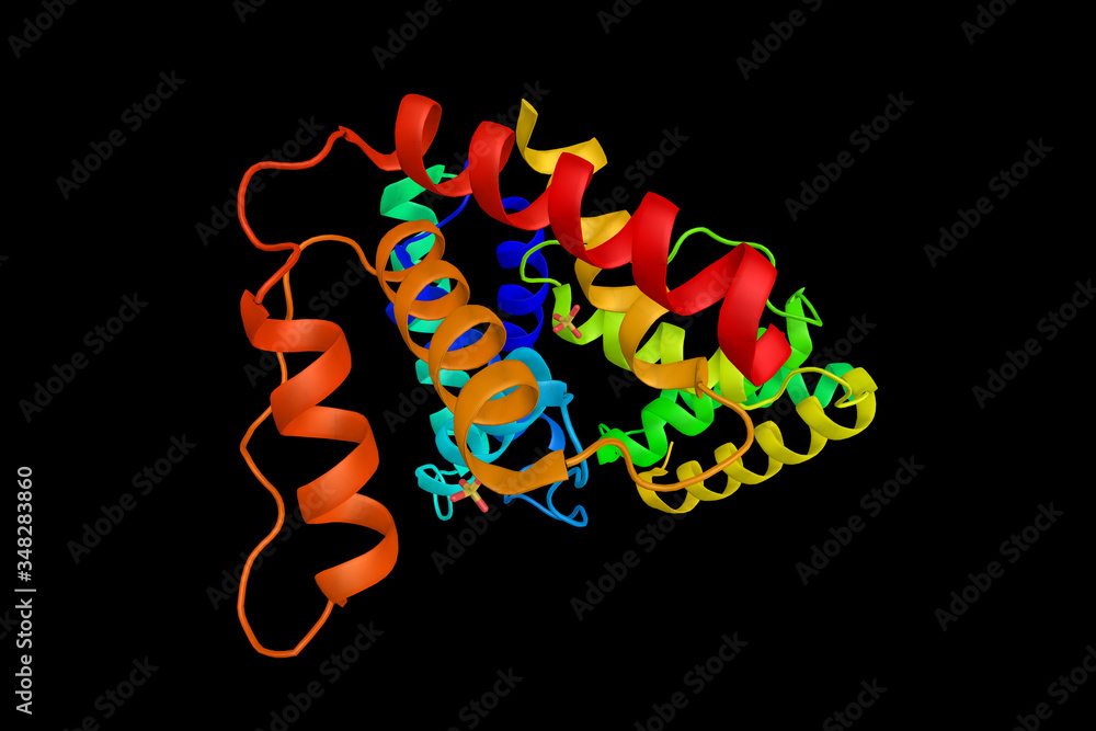 ACBP, a highly conserved protein of about 90 amino acids that is found ...