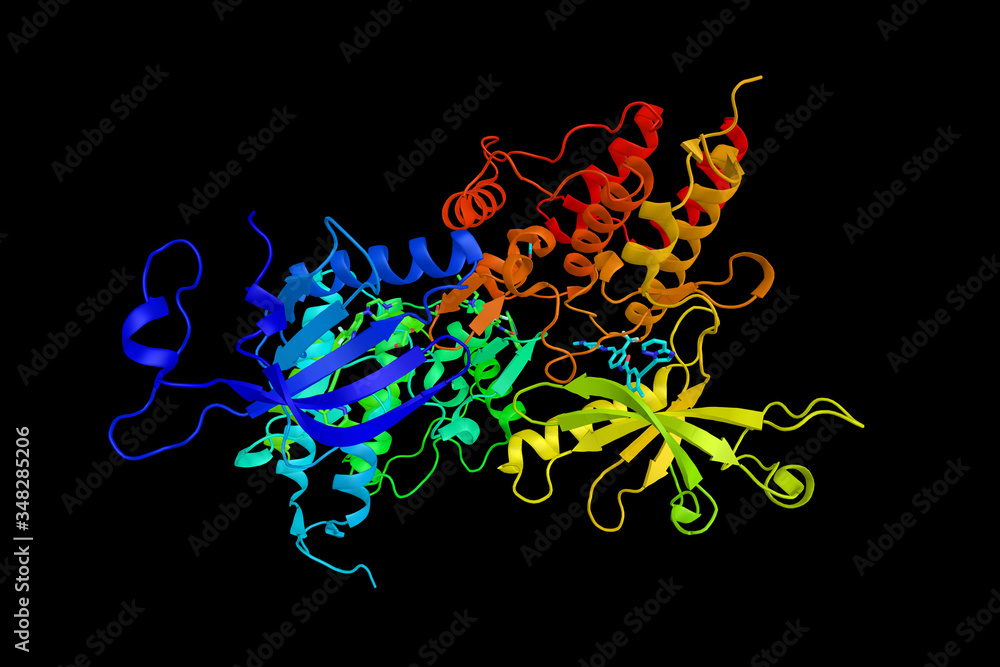 Discoidin domain receptor family, member 1, widely expressed in normal ...