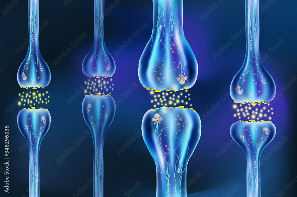 Signaling in the brain. Neural connections in the brain form thoughts, concept learning ...