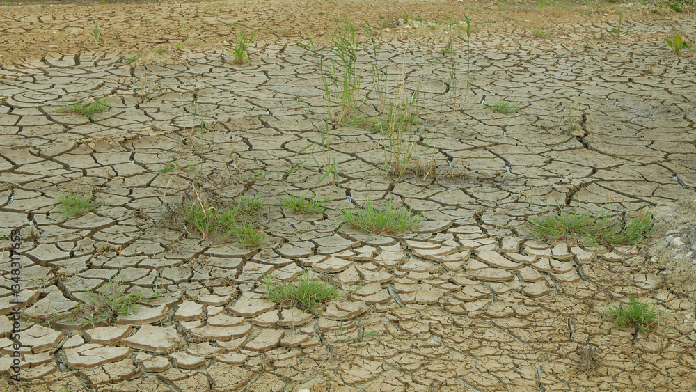 Drought cracked pond wetland, swamp very drying up the soil crust earth ...
