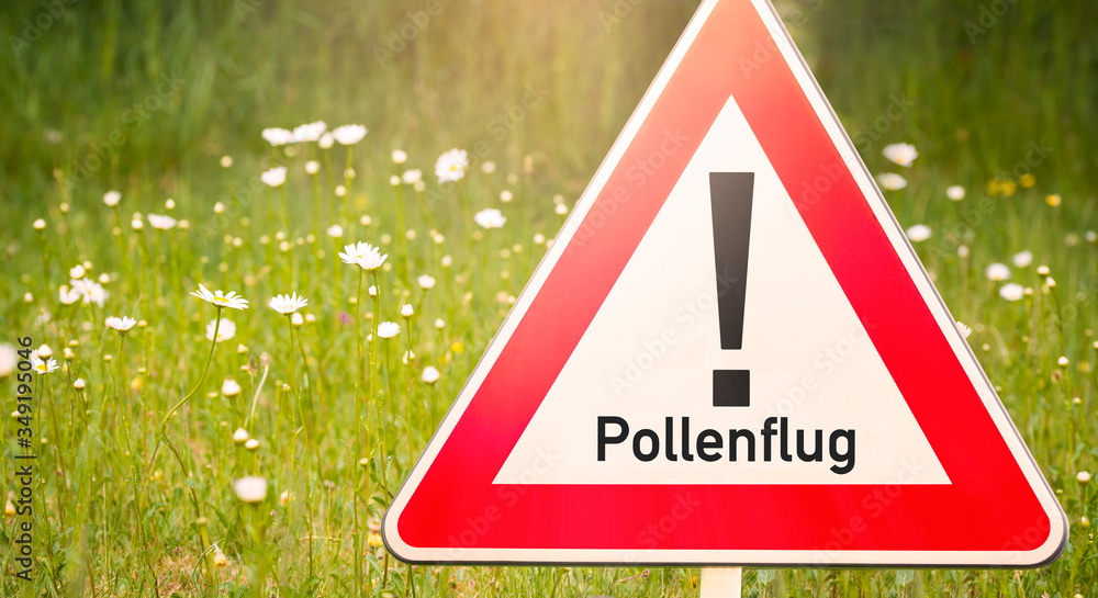 Warnschild mit Ausrufezeichen und Text Pollenflug vor einer Blumenwiese ...