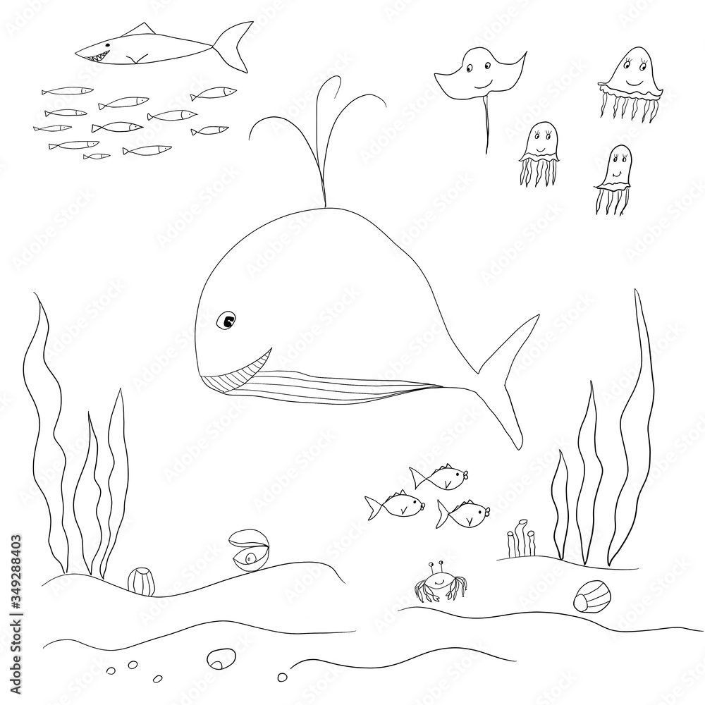 Hand drawn black and white drawing of marine life Stock Illustration ...