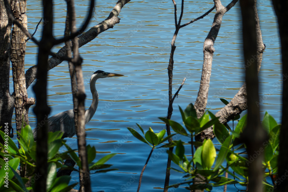 Seychelles is an archipelagic island country in the Indian Ocean. A ...