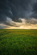 Storm Clouds Over Country Field Free Stock Photo - Public Domain Pictures