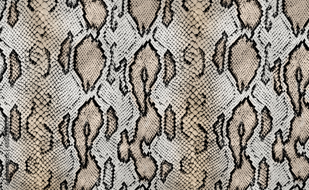 snake texture, python texture, animal print Stock Photo | Adobe Stock