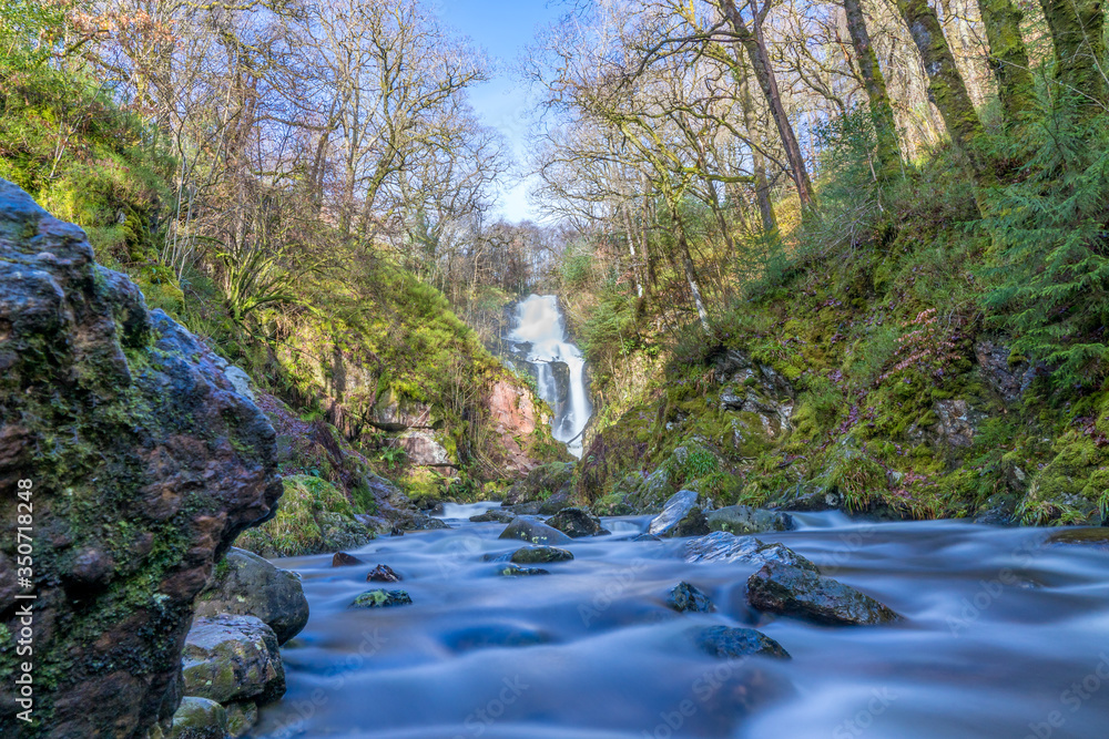 Queen Elizabeth Forest Park is a 19,665-hectare forest park in the ...