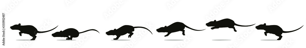 Full cycle of rat or mouse running animation. Vector illustration ...
