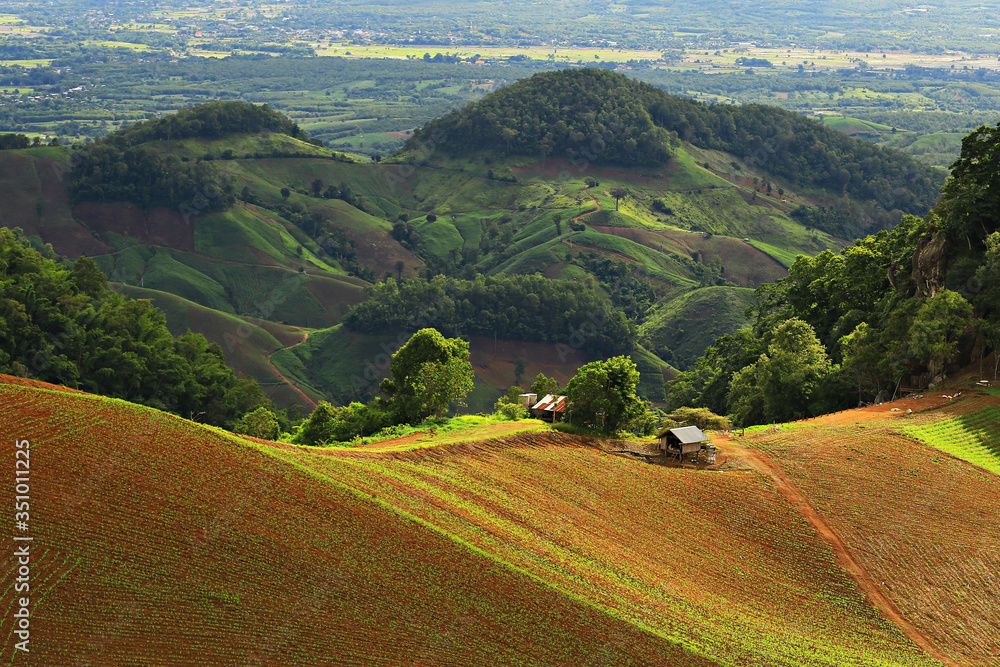 Corn farming on the hillside at Doi Samer Dao in Si Nan National Park ...