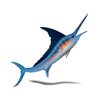 Blue Marlin Stock De Foto Gratis Public Domain Pictures