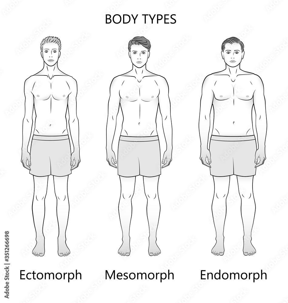 Human body types. Three figures, black and white. Forms: ectomorph ...