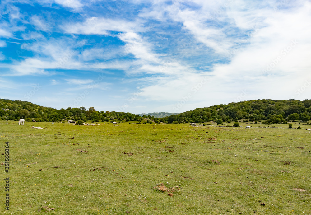 Foto de Stock Monte Gennaro (Italy) - The peak in the Monti Lucretili ...