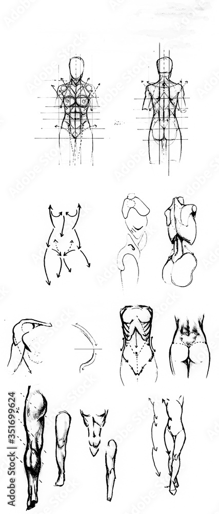 Tutorial of drawing female body. Drawing the human body, step by step ...