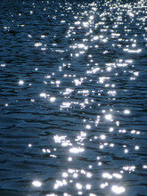 Sun Glitter Free Stock Photo - Public Domain Pictures