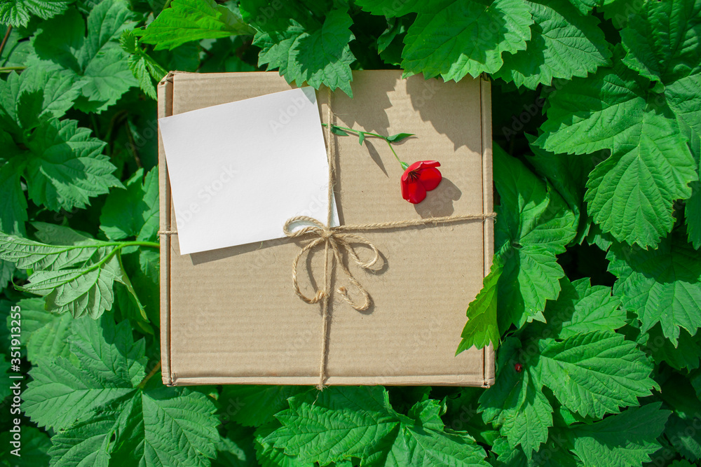 postal cardboard box tied with a rope, on the box lies a flower and a ...
