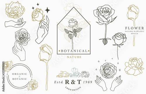 rose logo collection with leaves,geometric,circle,square frame.Vector ...