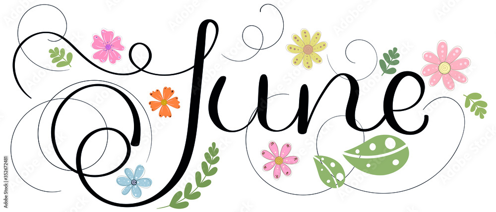 Hello June. JUNE month vector with flowers and leaves. Decoration ...
