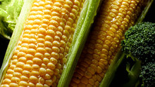 Fresh Unhusked Corn Free Stock Photo - Public Domain Pictures
