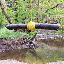 Tree Branches Hanging Over A River Free Stock Photo - Public Domain ...