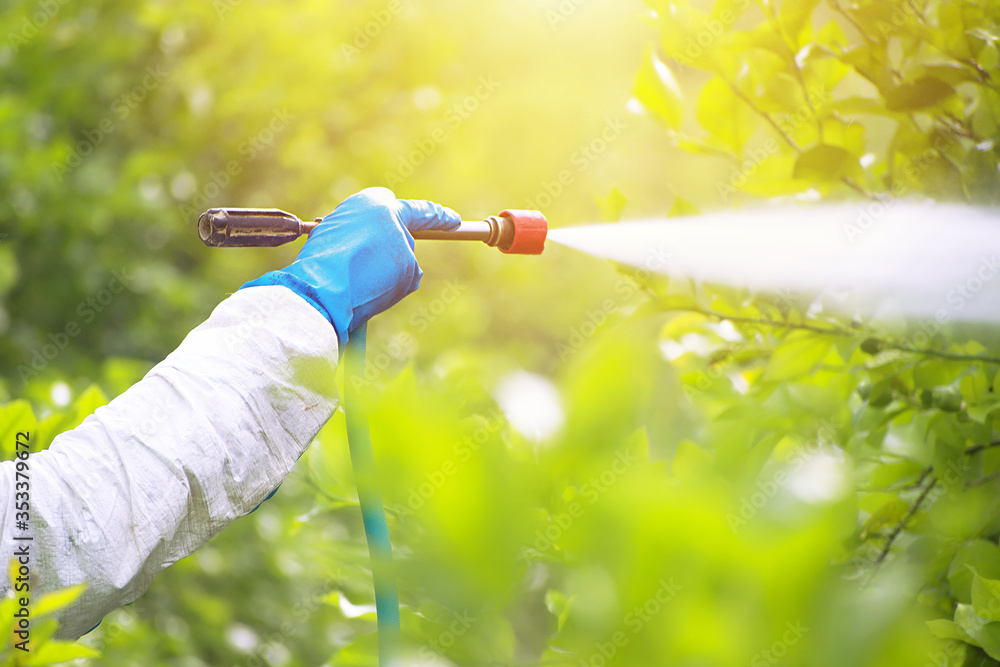 Spray ecological pesticide. Farmer fumigate in protective suit and mask ...