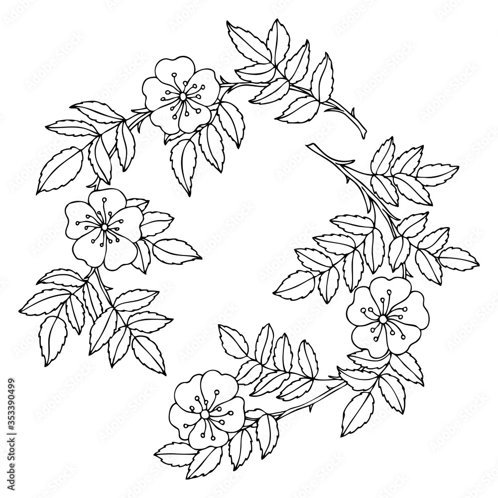Eglantine twig with leaves and flowers. Hand drawn wild Rose. Sketch ...