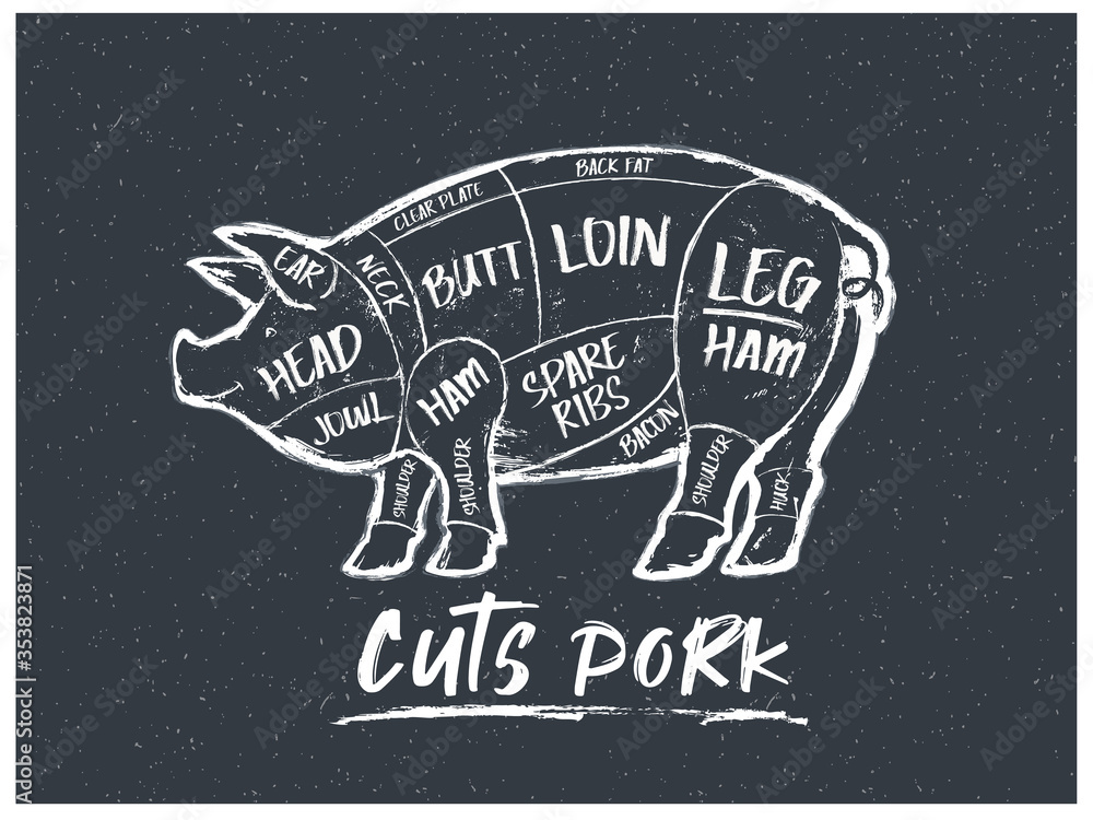 Graphic silhouette of a pig with the line of cutting for the butcher on ...