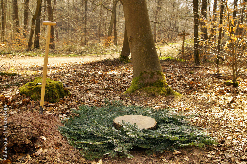 Woodland burial. Cemetery. Empty Tomb, preparation of near-natural ...