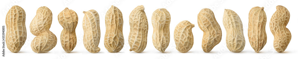 Peanuts diversity. 12 raw shelled peanuts of different shapes standing ...