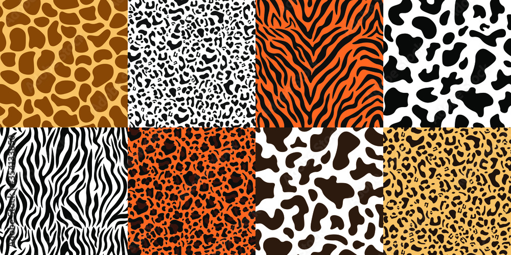 Animal Prints And Patterns
