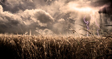 Storm Clouds Over Country Field Free Stock Photo - Public Domain Pictures