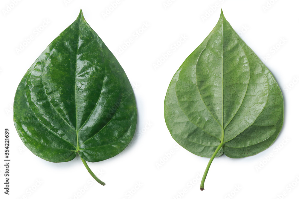 Paan is a preparation combining betel leaf with areca nut widely ...