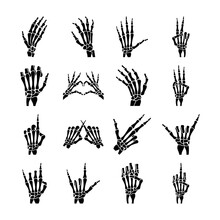 Skeleton Hands Free Stock Photo - Public Domain Pictures