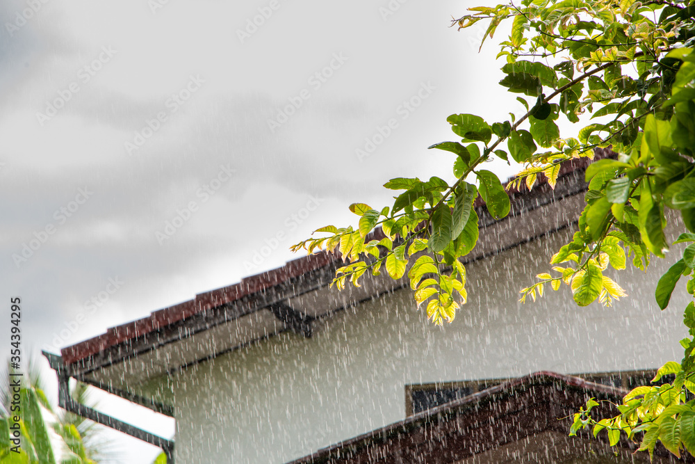 Raining on roof home,Rain drops fall continuously with blur green ...