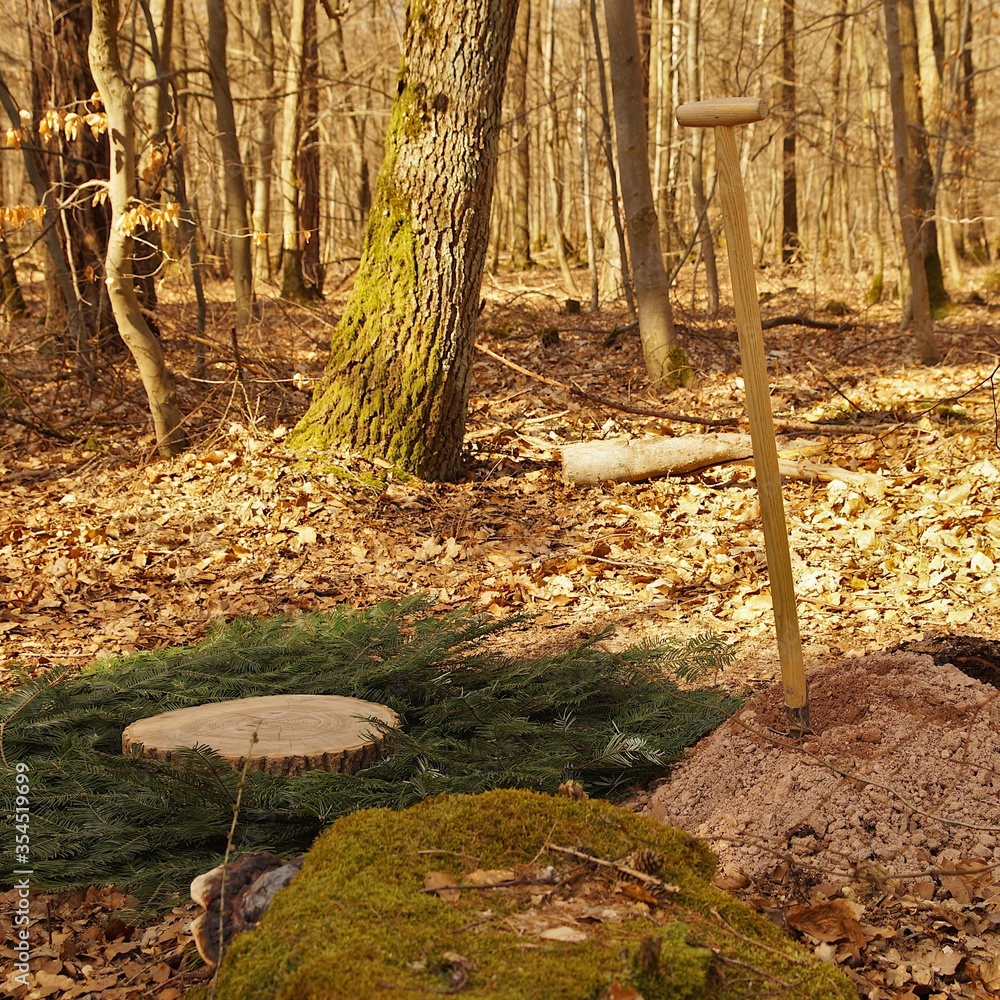 Woodland burial. Cemetery. Empty Tomb, preparation of near-natural ...