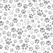 Dog Wallpaper Pattern Background Free Stock Photo - Public Domain Pictures