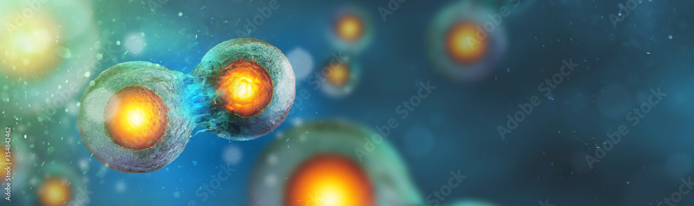 Cell embryo, Mitosis under microscope. Cells background with copy space ...