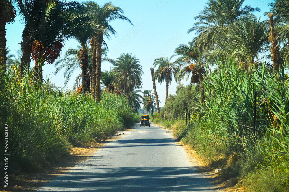 A tuk tuk car, auto rickshaw moving towards viewer on a road through ...