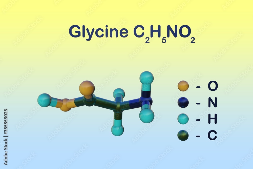 Structural chemical formula and molecular model of glycine, an amino ...