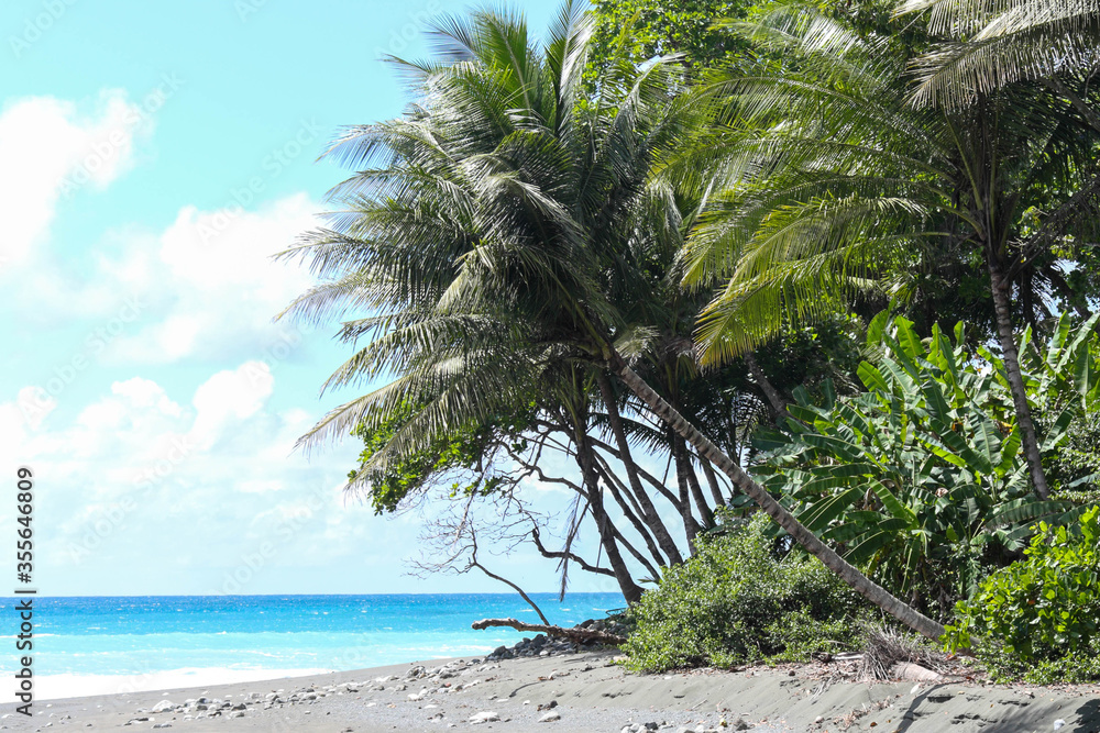 Playa Madrigal in Corcovado National Park, Trekking tour, beautiful ...