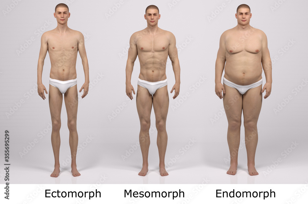 3d Render The Portrait Of Standing Male Body Type Ectomorph Skinny