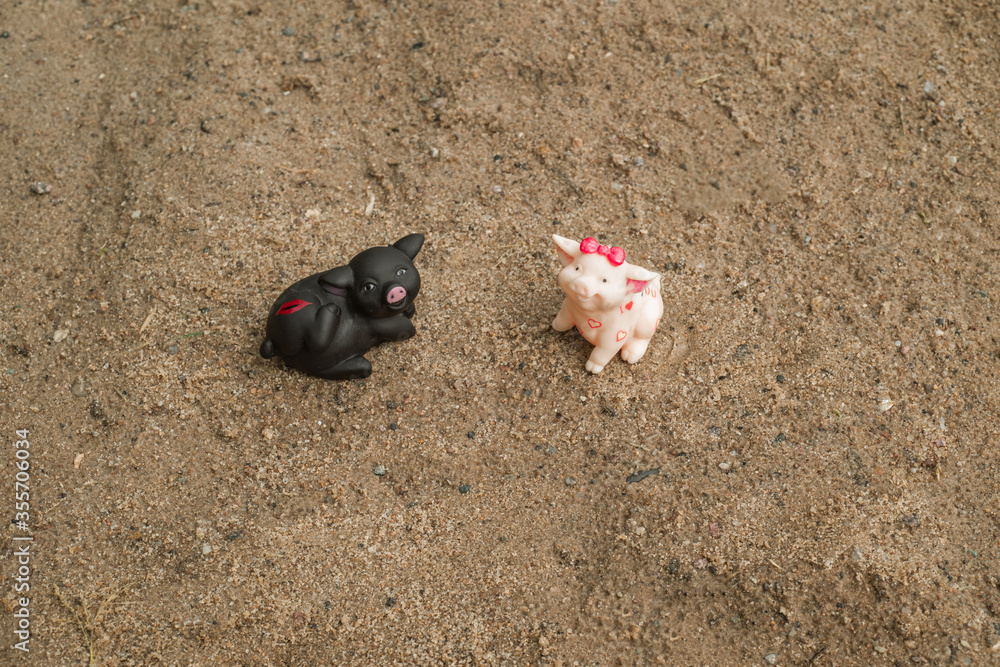 Two pigs sit on the sand. Black and white pigs. Two pigs in love ...