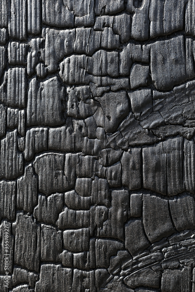 Burnt wooden board texture. Sho-Sugi-Ban Yakisugi is a traditional ...